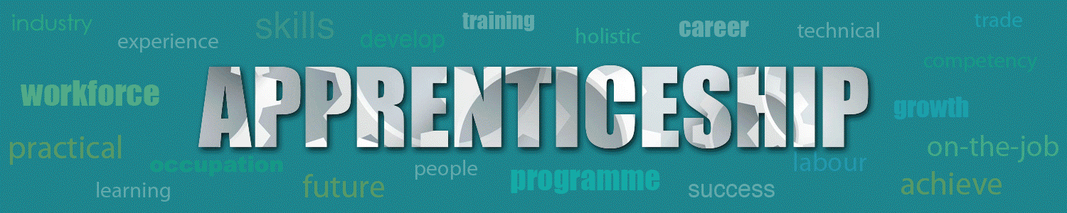 Apprenticeship-Banner – National Training Agency