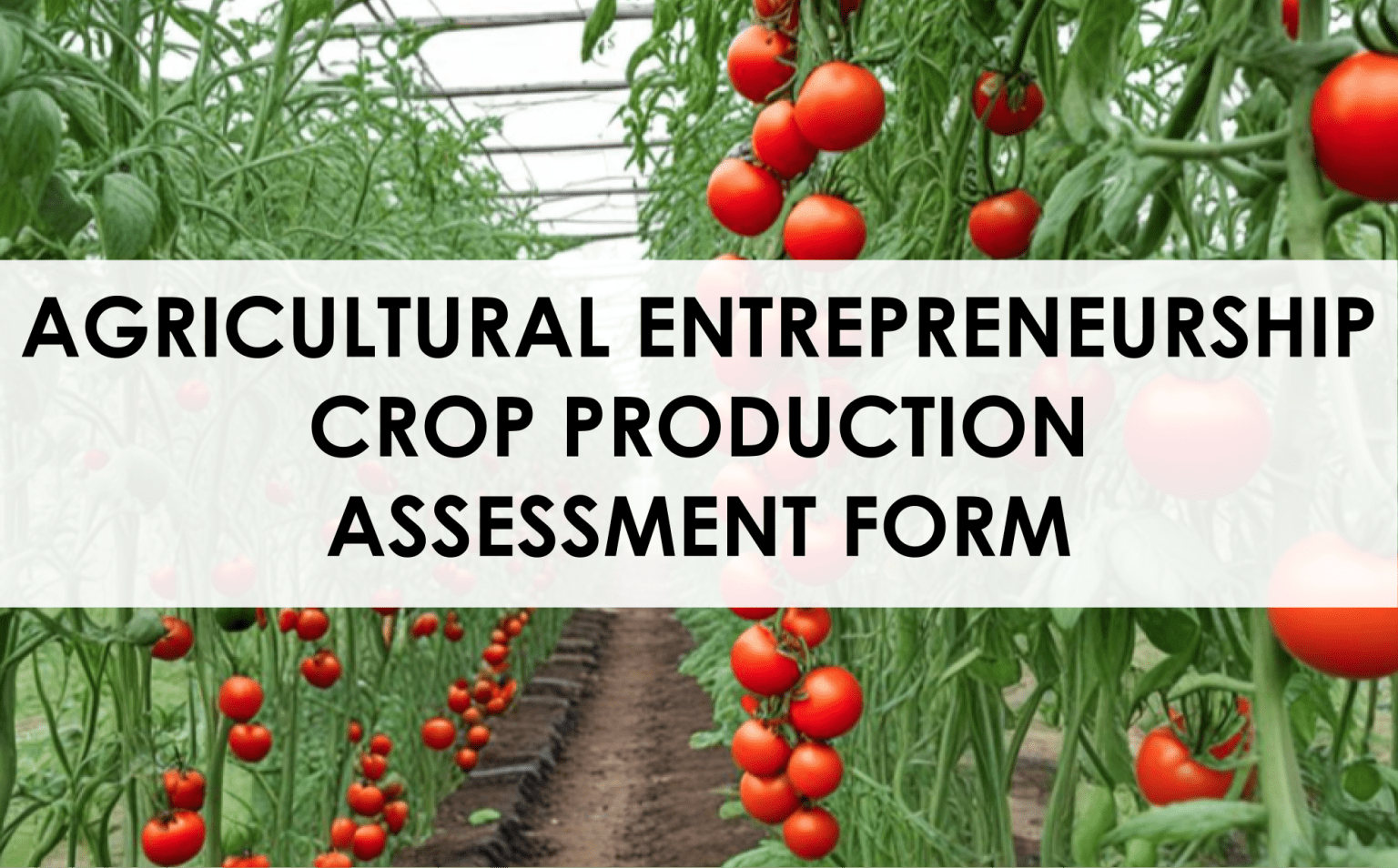 PLAR – Self-Assessments – National Training Agency